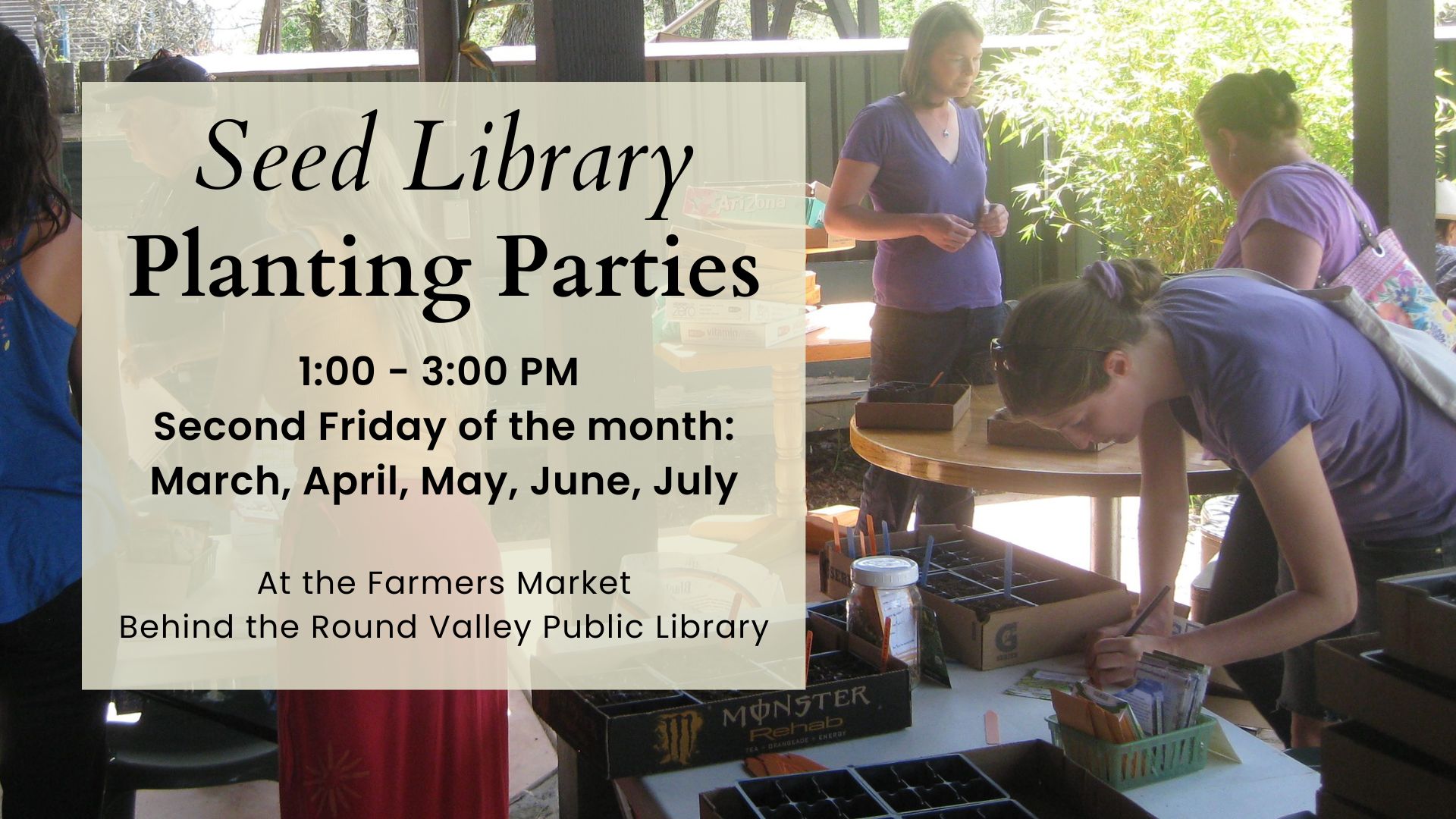 Seed Library – FRVPL